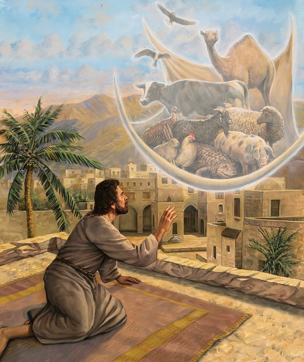 Pentecost in Acts: Acts 10:1-23 Peter’s Vision | Your Love