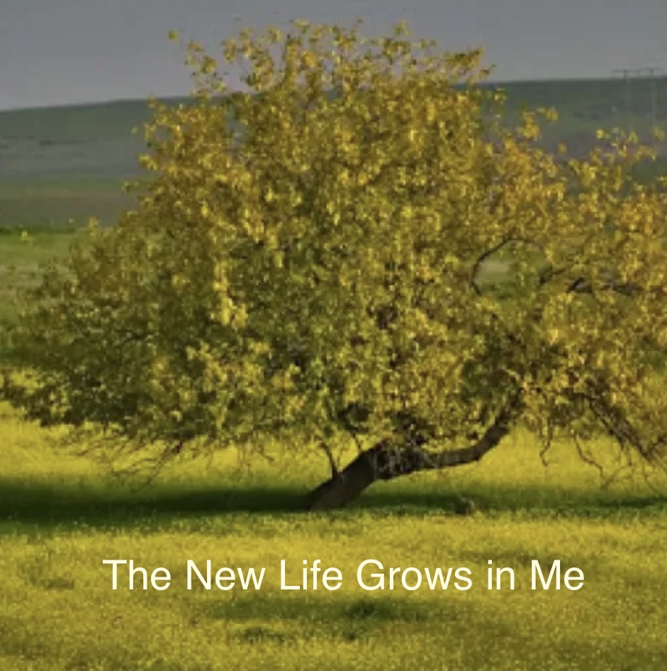 The New Life Grows in Me! | Your Love